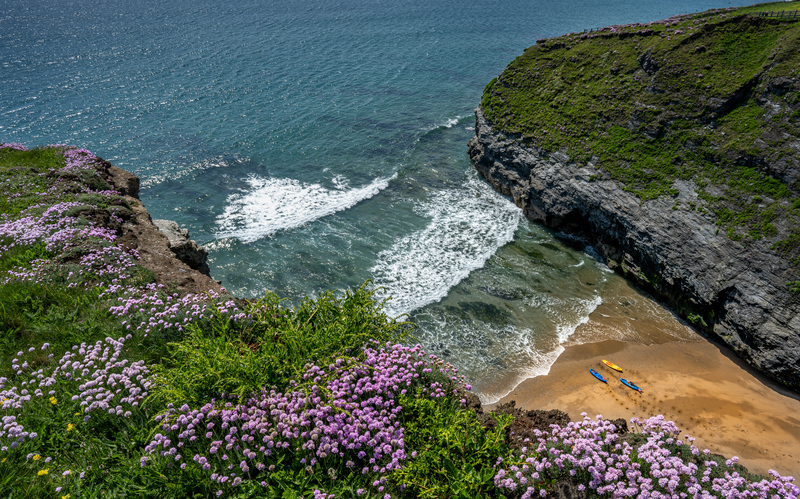 Competition - CompetitionScores.Web