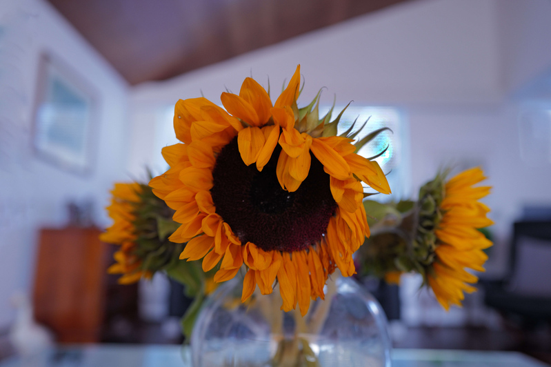 Competition - CompetitionScores.Web