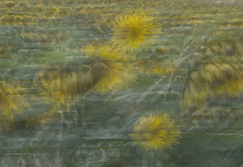 Competition - CompetitionScores.Web