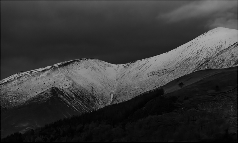 Competition - CompetitionScores.Web