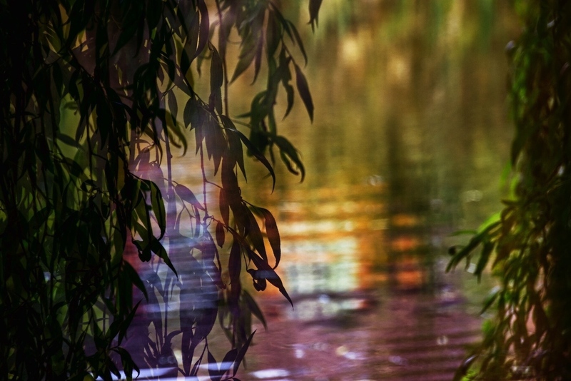 Competition - CompetitionScores.Web